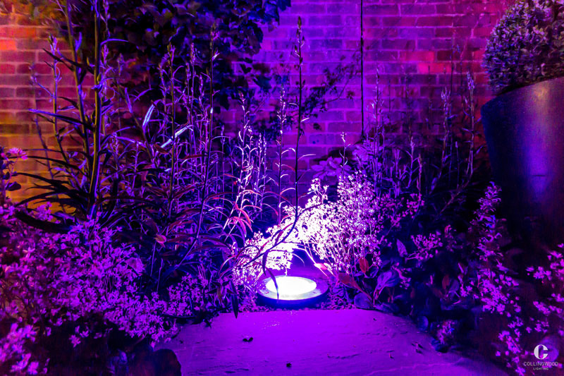 Collingwood Lighting: Let There be Light - Professional Electrician