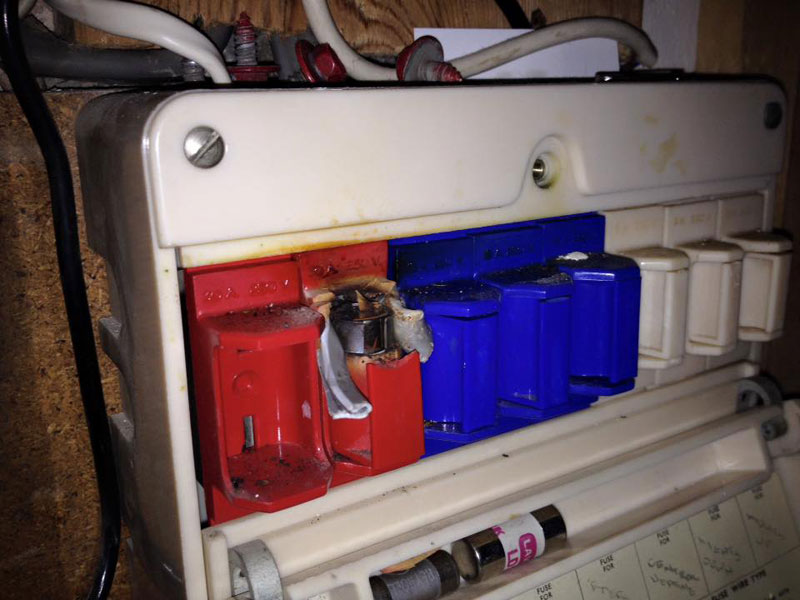 Caught on Camera Exclusives - Professional Electrician