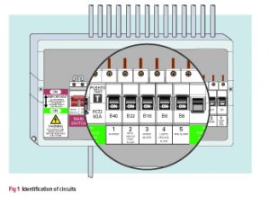 Identification of Electrical Wiring - Professional Electrician