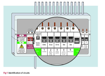 Identification of Electrical Wiring - Professional Electrician