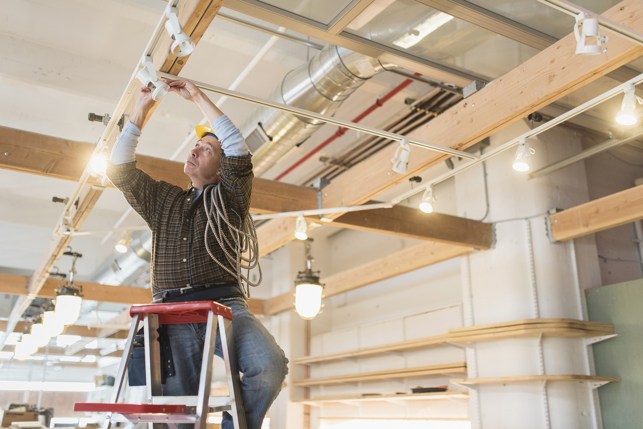Plan for the Halogen Ban - Professional Electrician