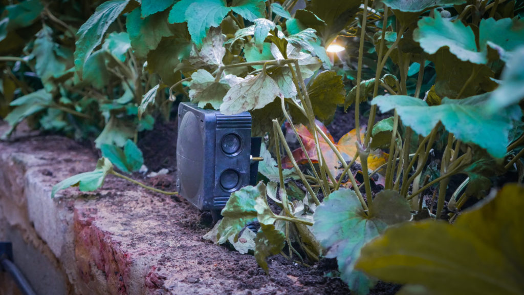 Garden Lighting Installations: Top Tips - Pro Electrician