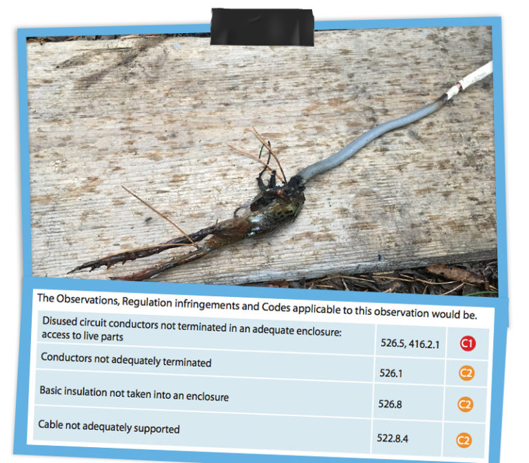 NAPIT Codebreakers #11 - Professional Electrician