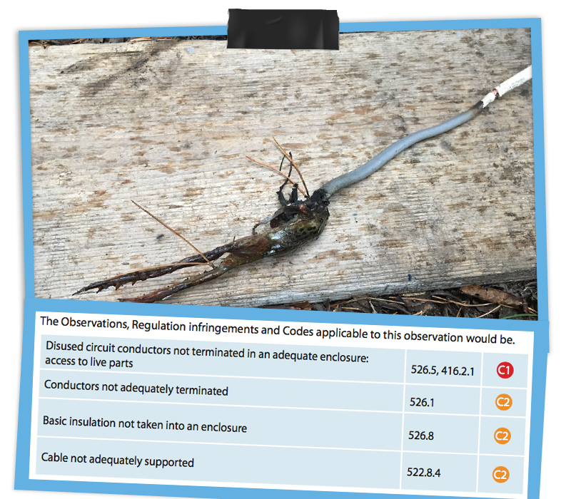 NAPIT Codebreakers #11 - Professional Electrician