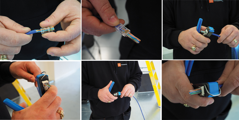 Terminator too - Professional Electrician