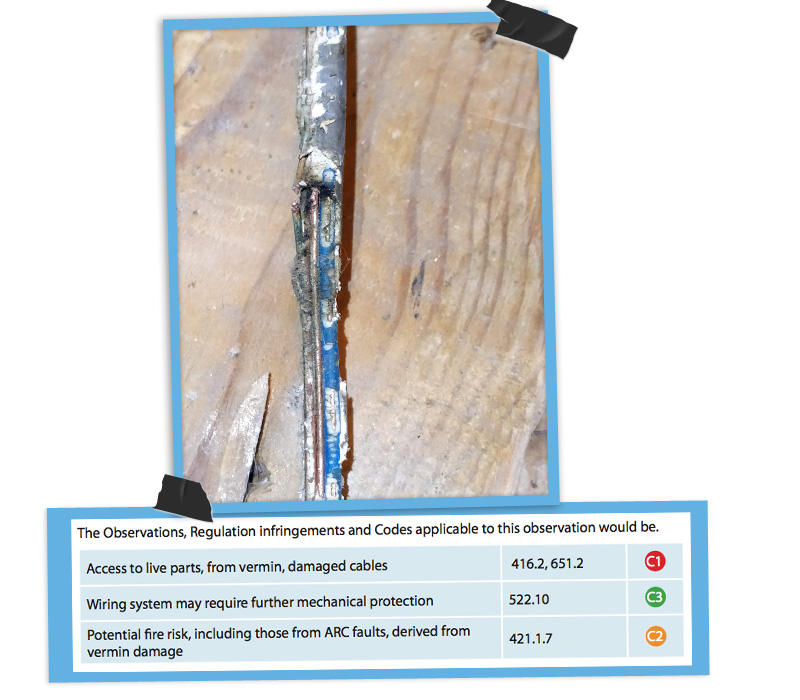 Napit Codebreakers #14 - Professional Electrician