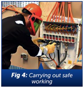 Safely using Multi-Service Distribution Boards (MSDBs) | NAPIT ...