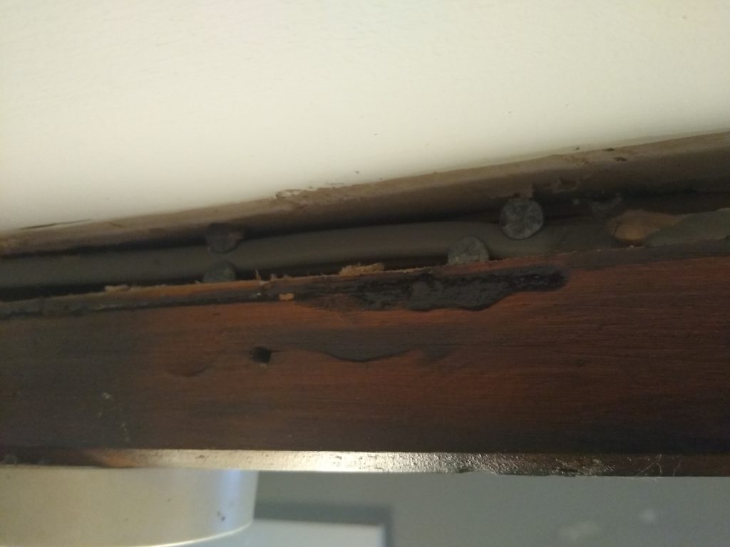 Caught on Camera | 22nd September 2021 - Professional Electrician