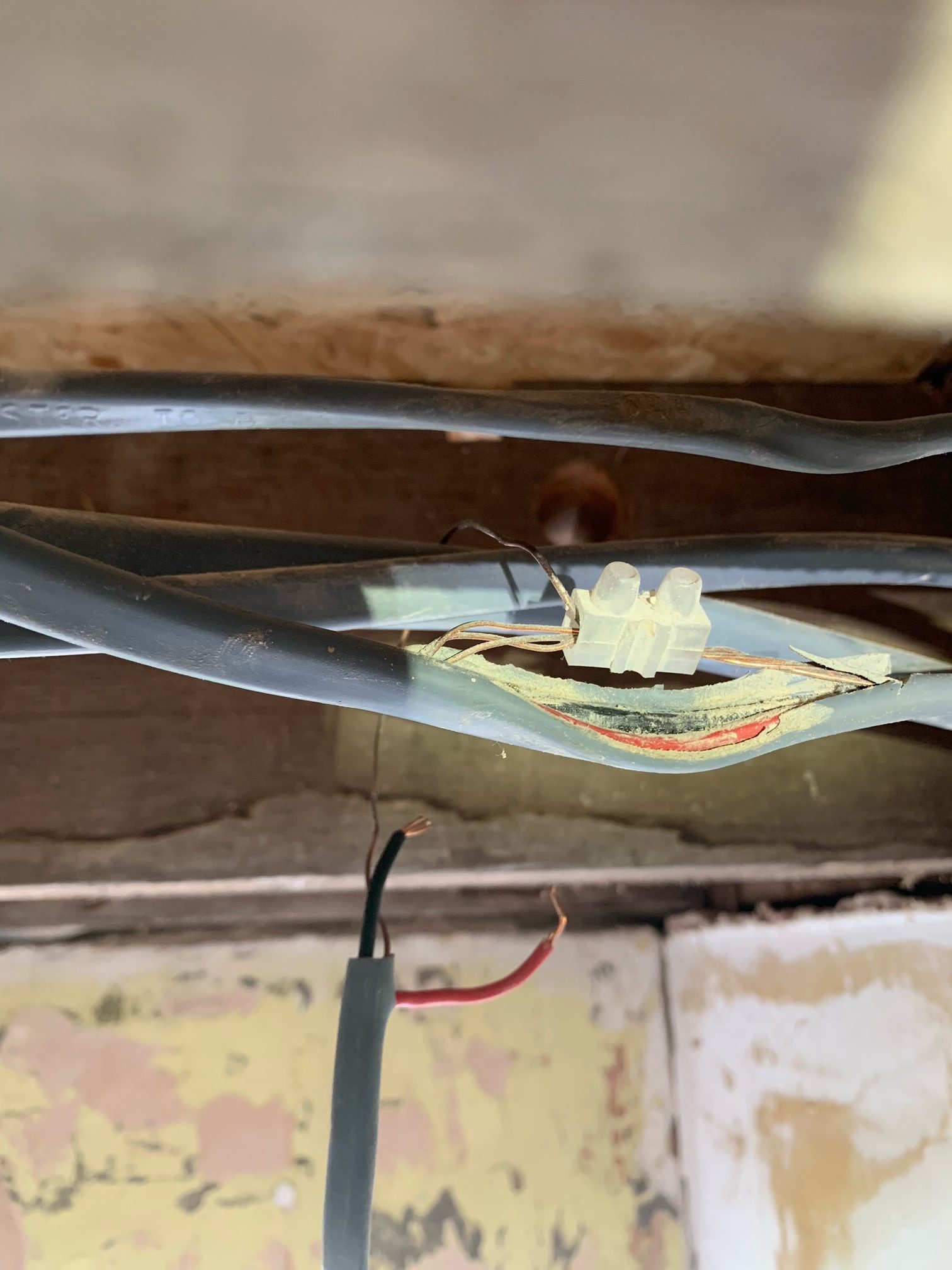 Codebreakers #35 - Professional Electrician