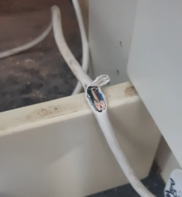 Caught on Camera | 31st August 2022 - Professional Electrician