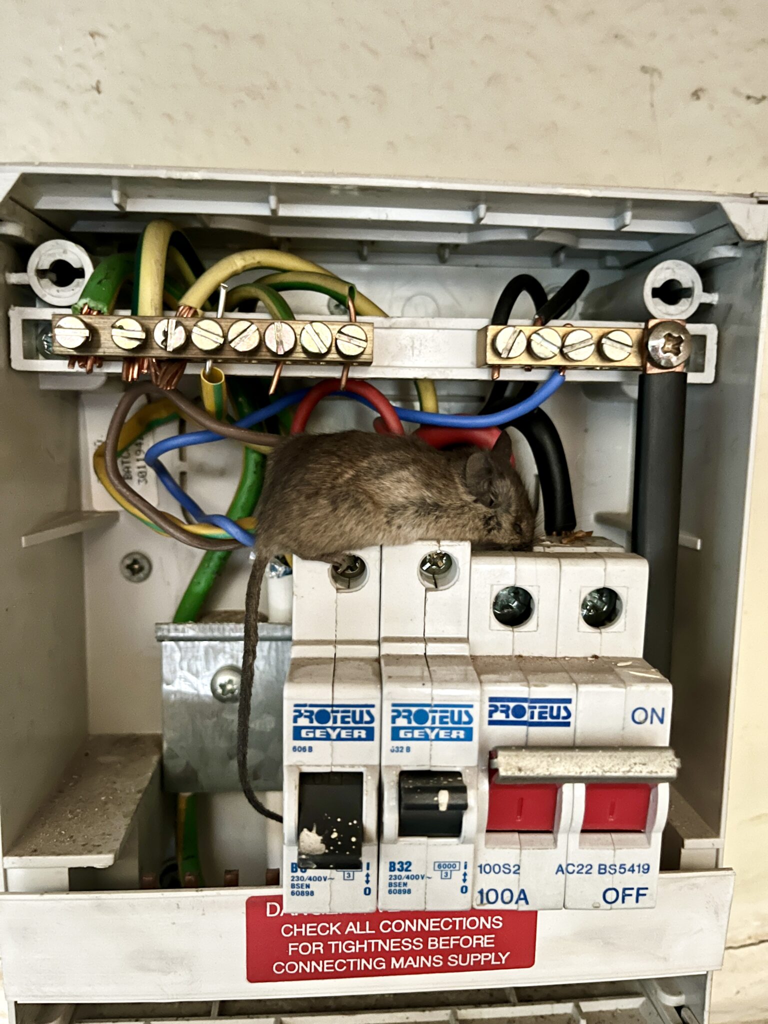 Codebreakers #78 - Professional Electrician