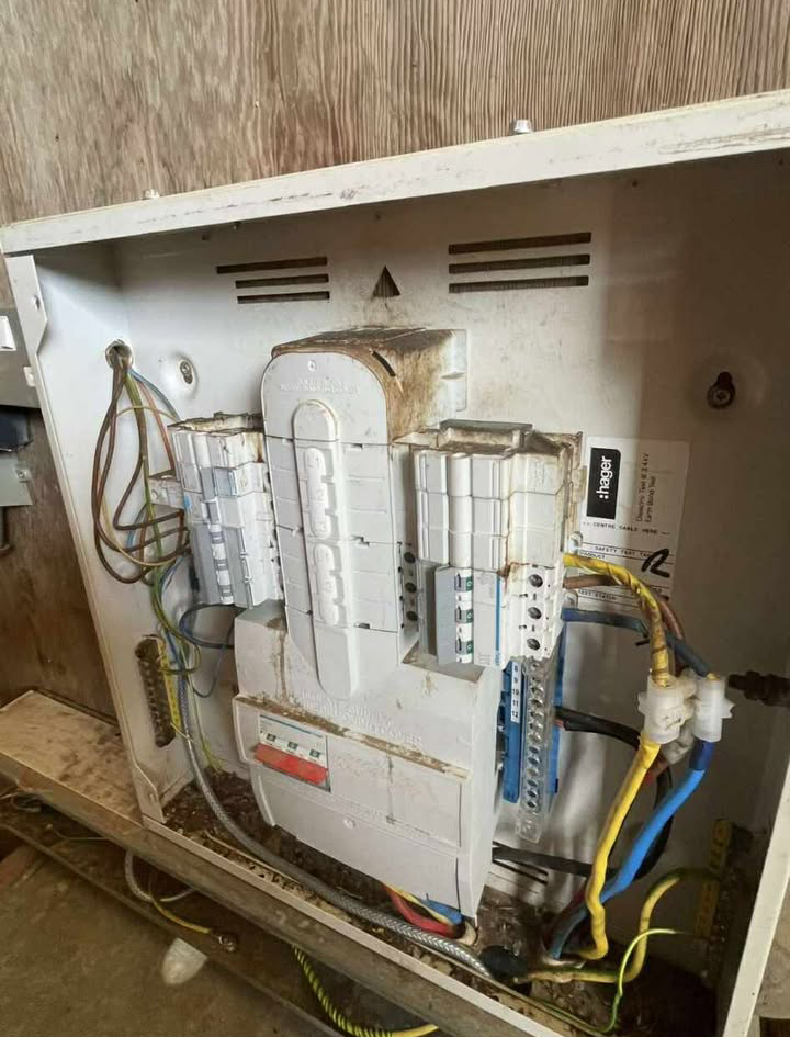 Caught on Camera | 19th November 2025 - Professional Electrician