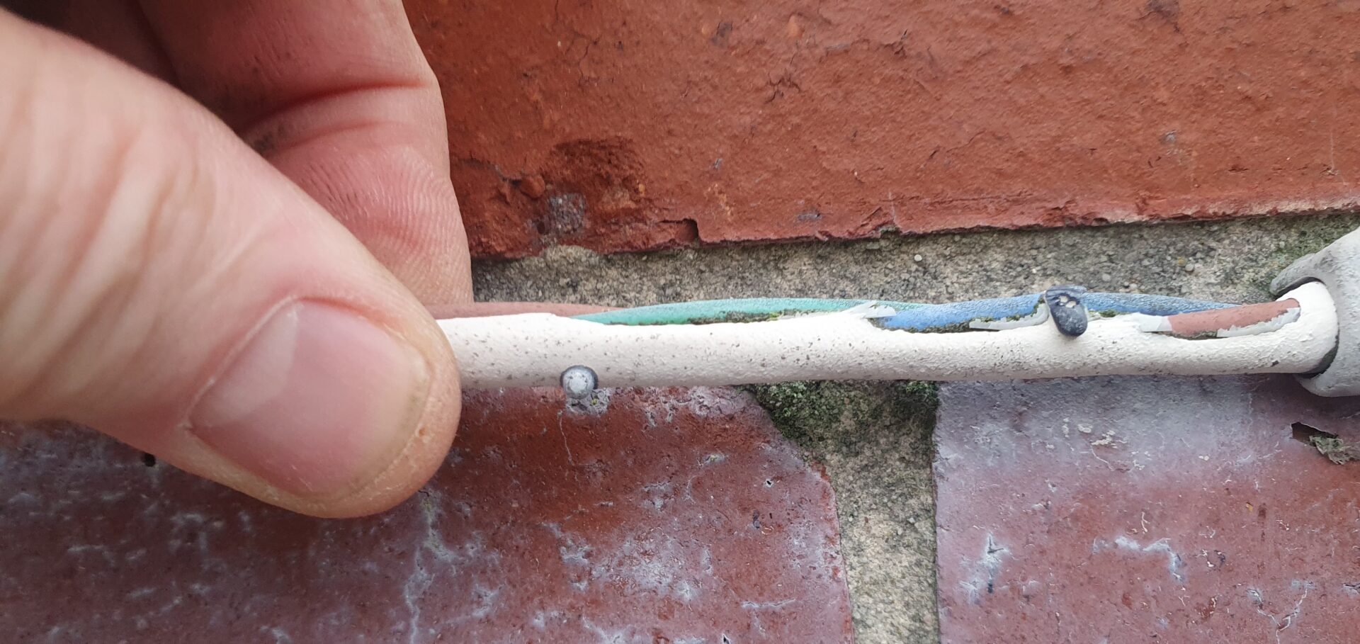 Caught on Camera | 14th January 2026 - Professional Electrician